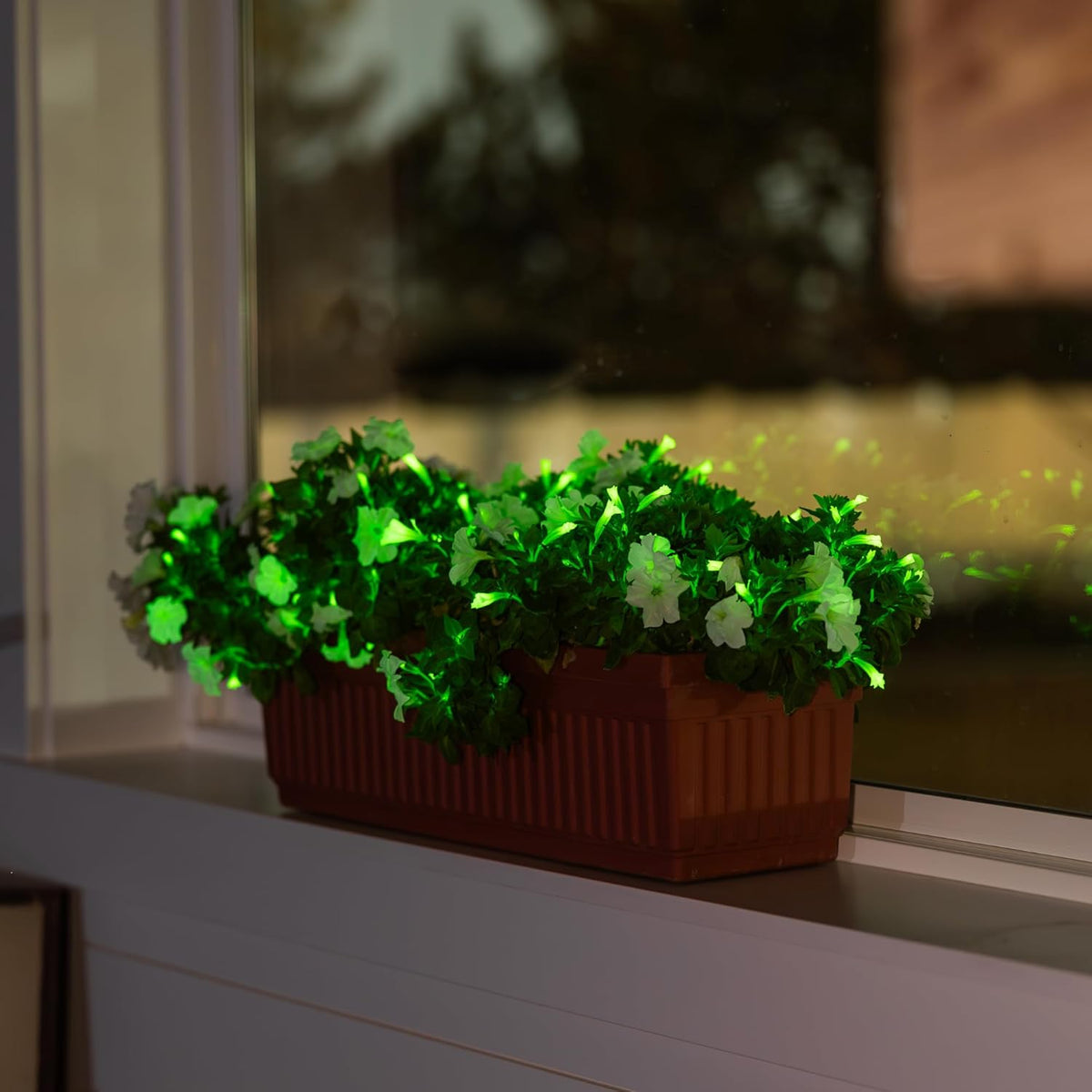 Products – Light Bio