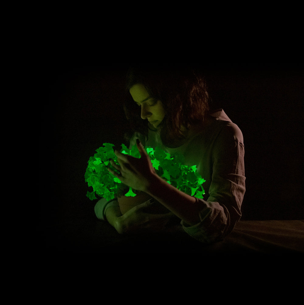 Products – Light Bio