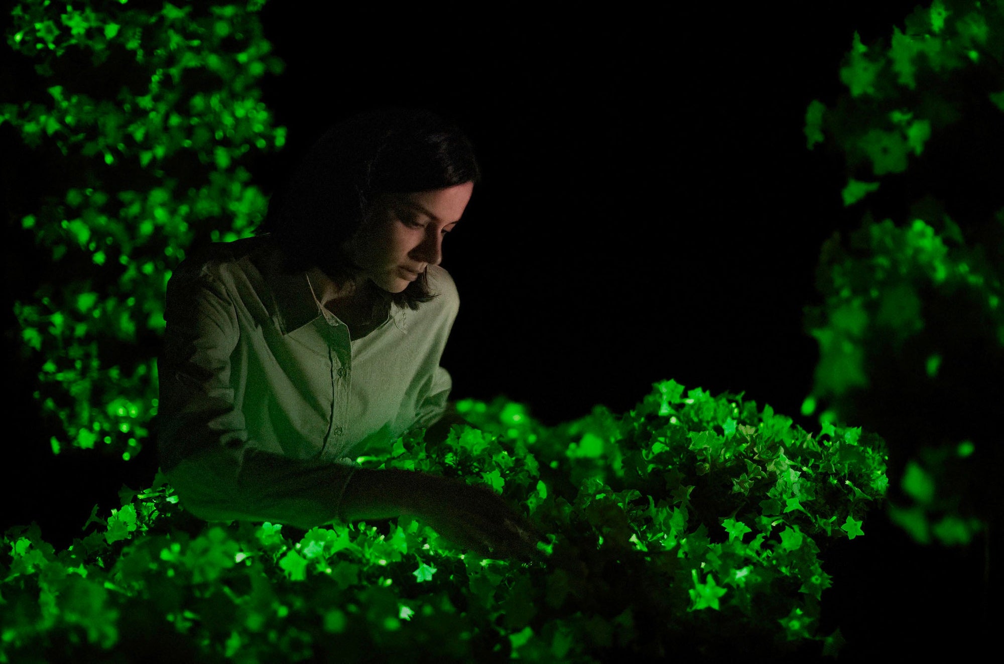 Products – Light Bio