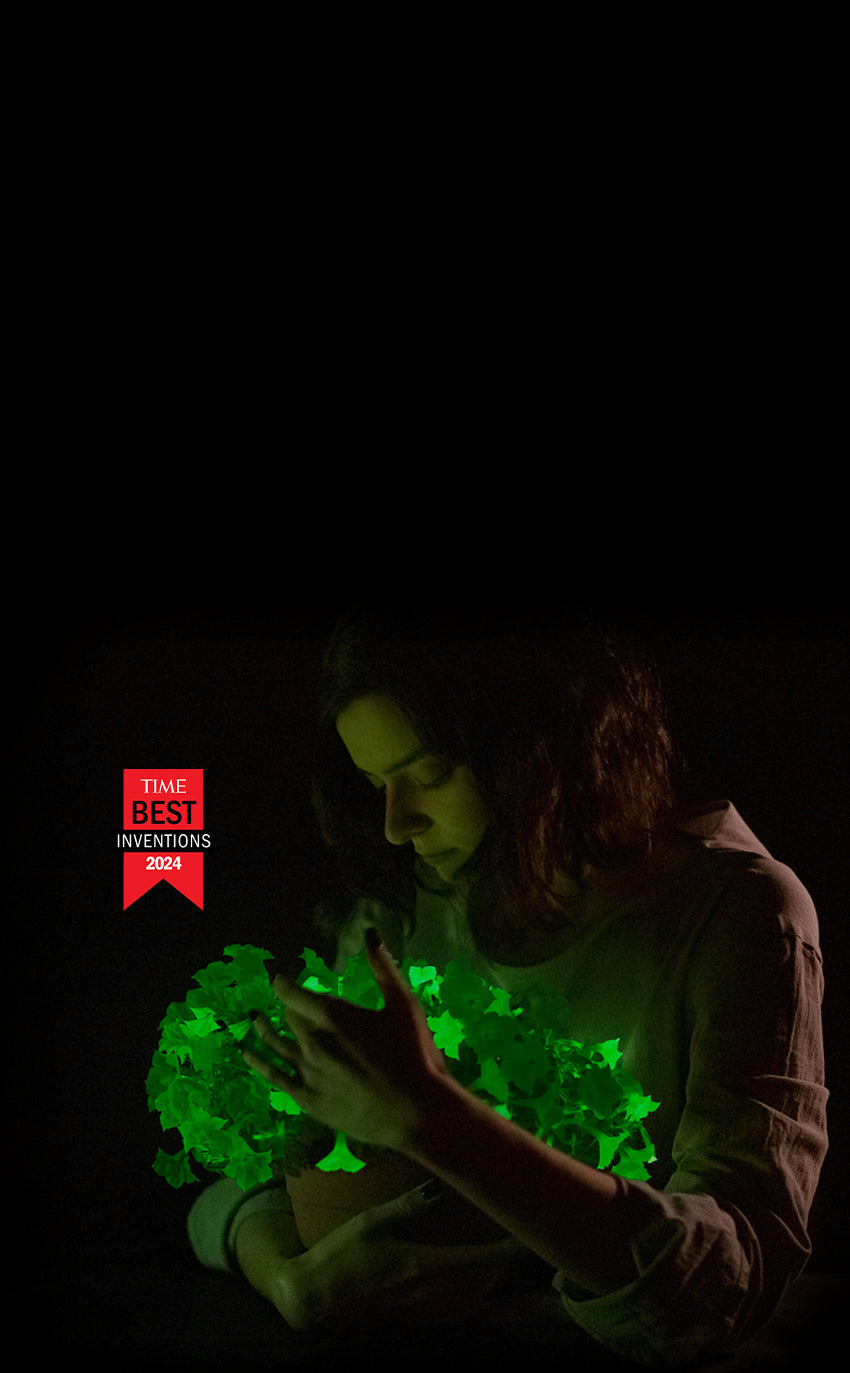 Glowing Plants by Light Bio