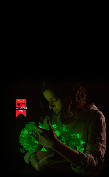 Glowing Plants by Light Bio